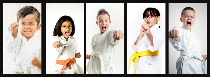 Proud Member of Kofukan Karate International