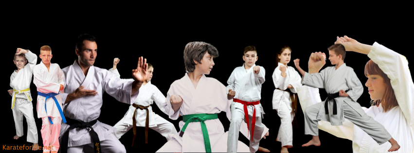 Understanding the Importance of Pinán Kata in Karate – KARATE FOR LIFE